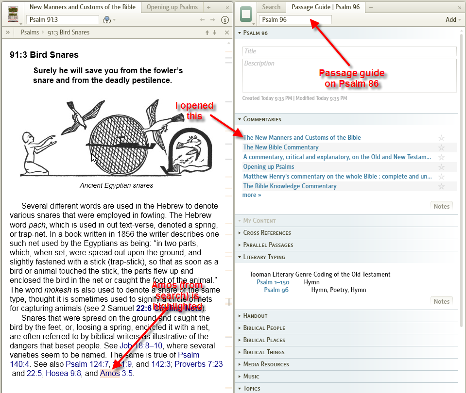 BUG: Search - Passage Guide admixture - Logos Community